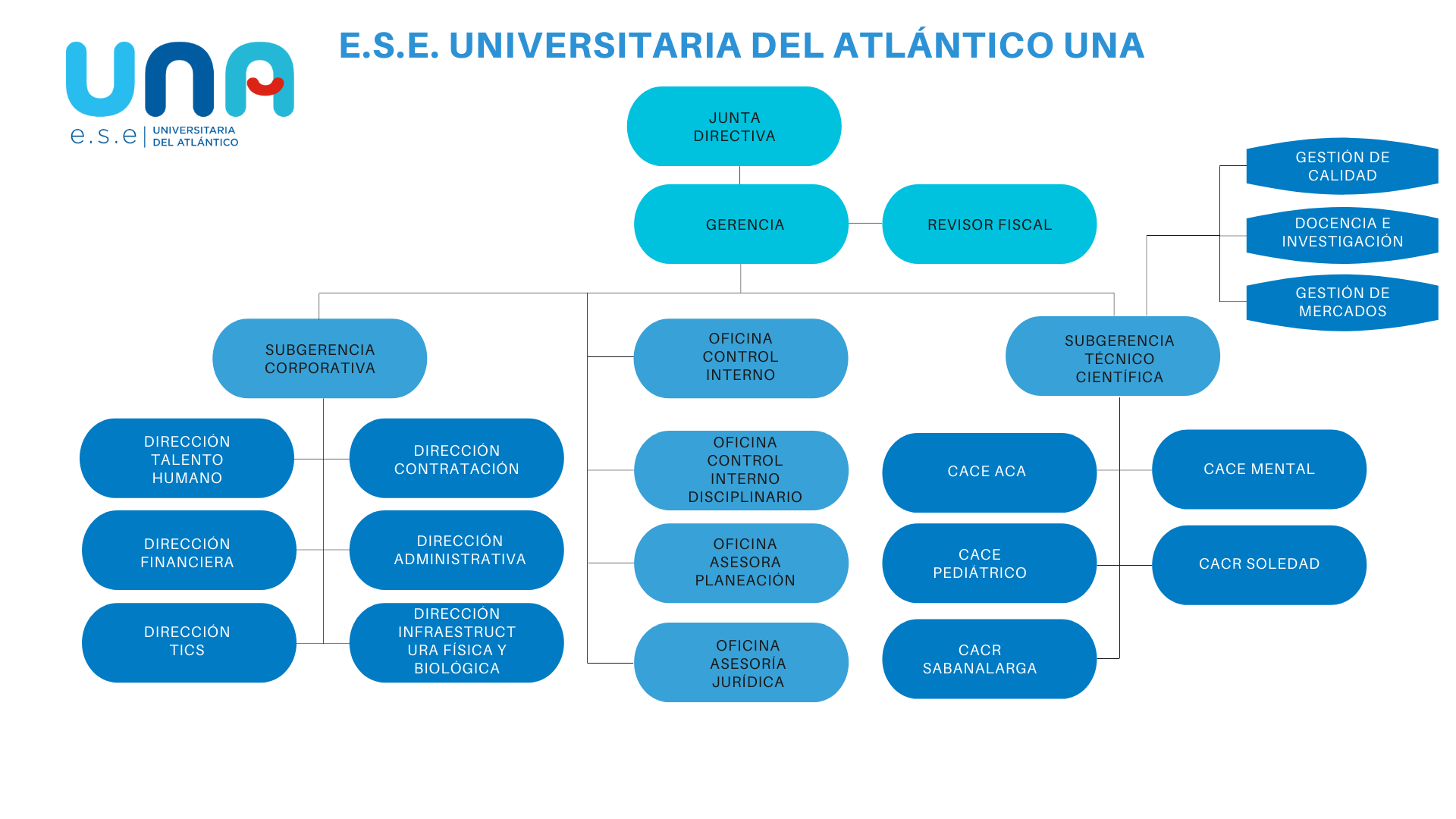 GOBIERNO CORPORATIVO